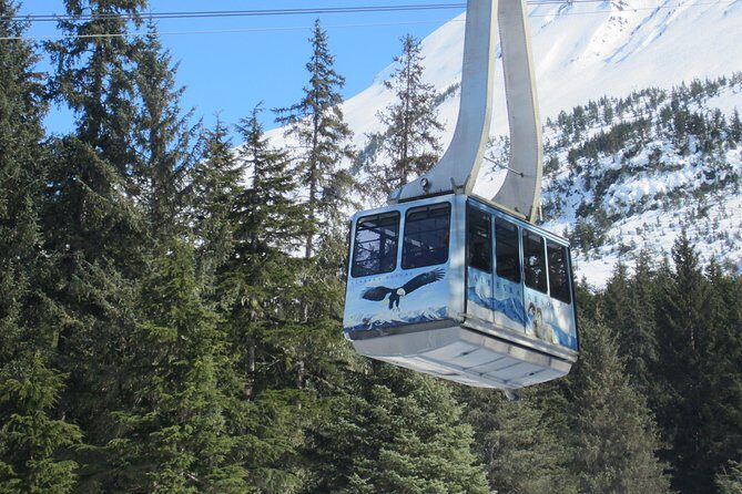 Alaska Wildlife Center and Turnagain Arm Tour w/Alyeska Tram - Key Points