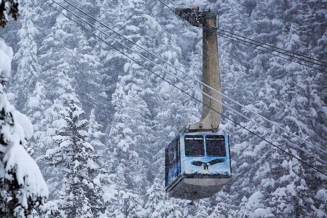 Alaska Wildlife Center and Turnagain Arm Tour w/Alyeska Tram - The Sum Up