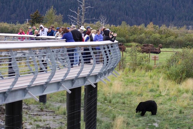 Alaska Wildlife Day Tour With Free Hotel Pickup - Booking and Cancellation Policies