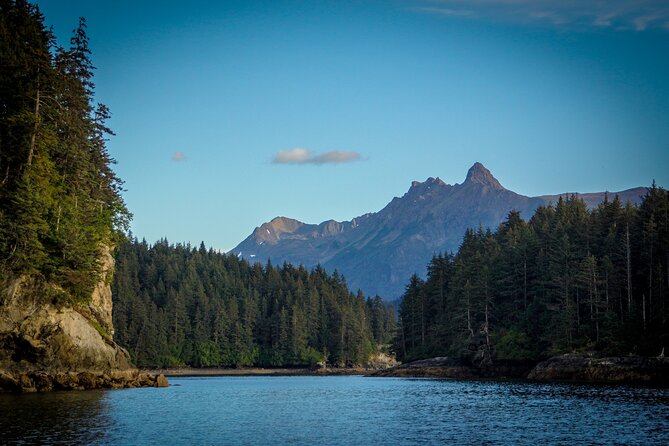 Alaska Wildlife Tour in Kachemak Bay - Customer Feedback and Ratings