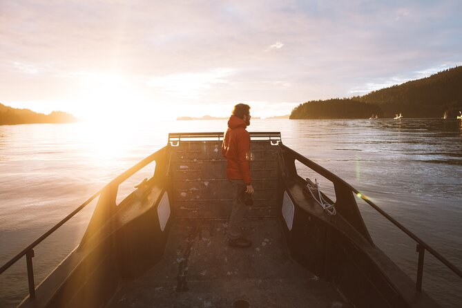 Alaska Wildlife Tour in Kachemak Bay - Accessibility and Amenities