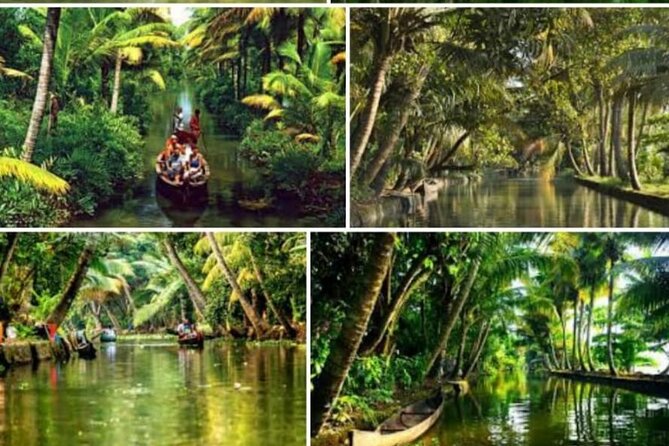 Alasr Lakeview Cruise /Hourly Trips to Backwater of Alleppey - What Travelers Say: Authentic Voices and Insights