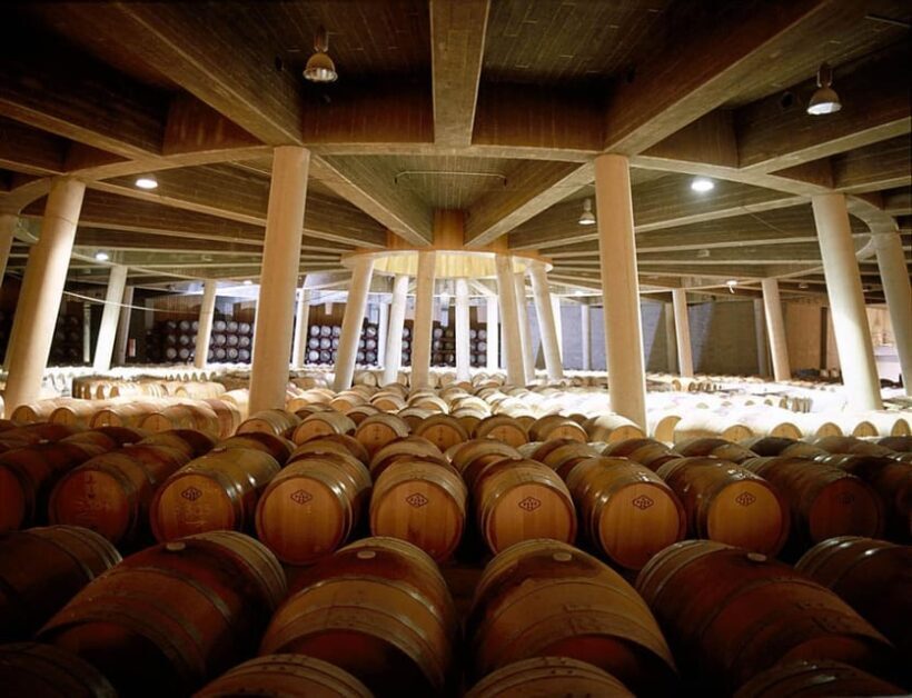 Álava: Viña Real Winery - Who Would Enjoy This Tour?