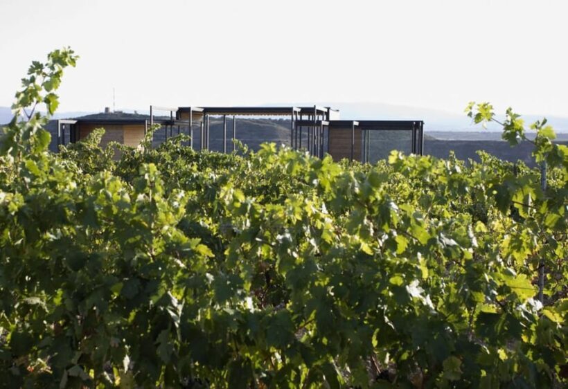 Álava: Viña Real Winery - Final Thoughts