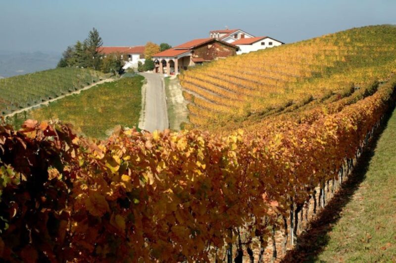 Alba: E-Bike Tour with wine tastin in cellar - Key Points