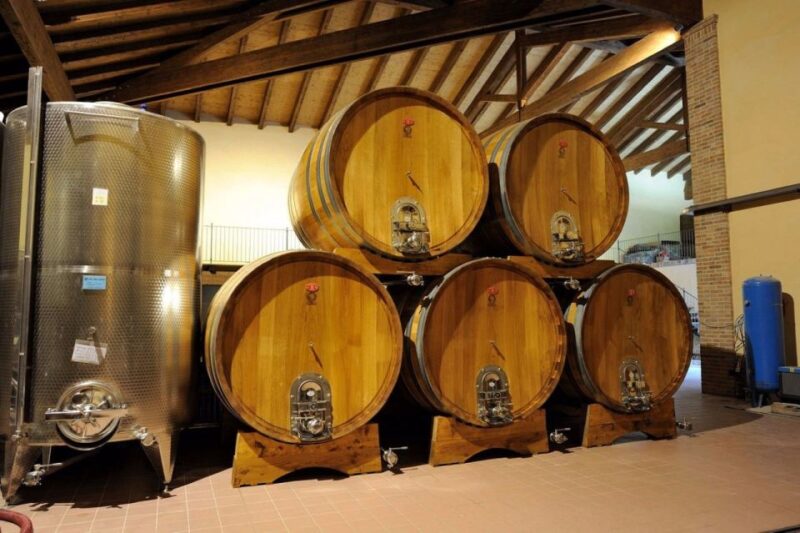 Alba: E-Bike Tour with wine tastin in cellar - Practical Details and Value