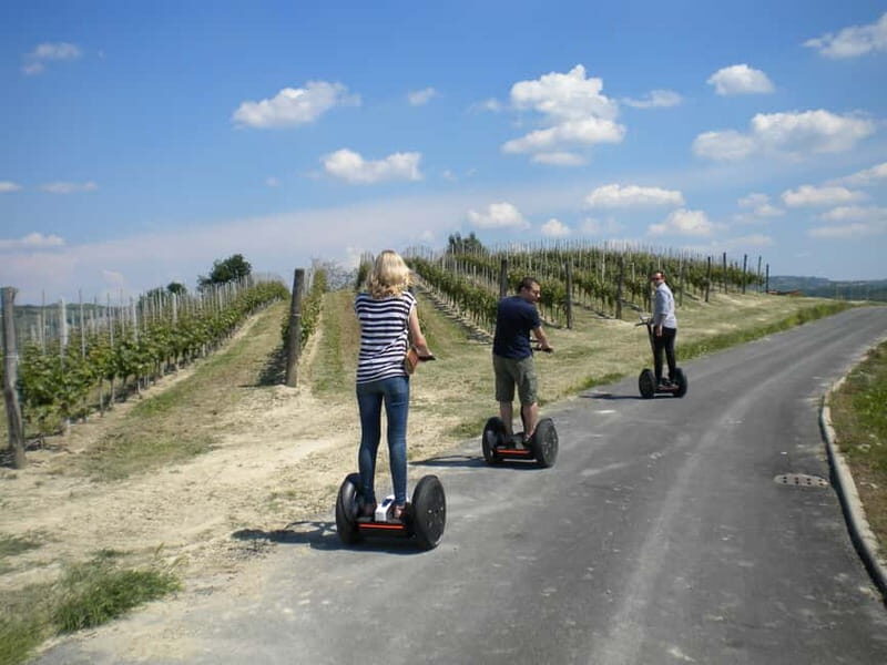 Alba: Guided Segway Tour through Langhe Hills and Vineyards - Who Will Enjoy This Tour?