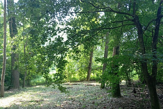 Alba Truffle Hunting, Barolo and Barbaresco Tasting - Authentic Experiences That Stand Out