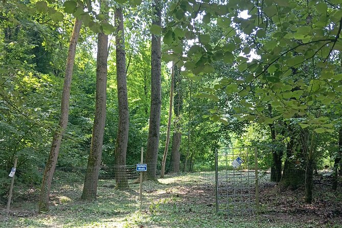 Alba Truffle Hunting, Barolo and Barbaresco Tasting - FAQ