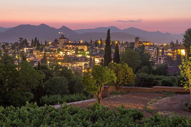 Albaicin and Sacromonte Private Tour - Authenticity and Limitations