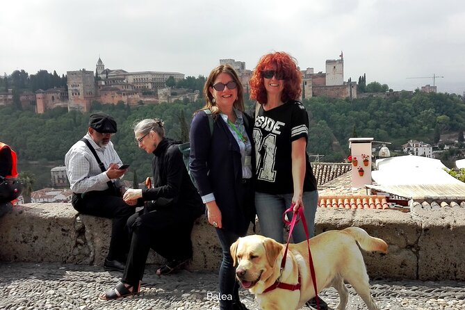 Albaicin guided tour with dogs - What to Expect During the Tour