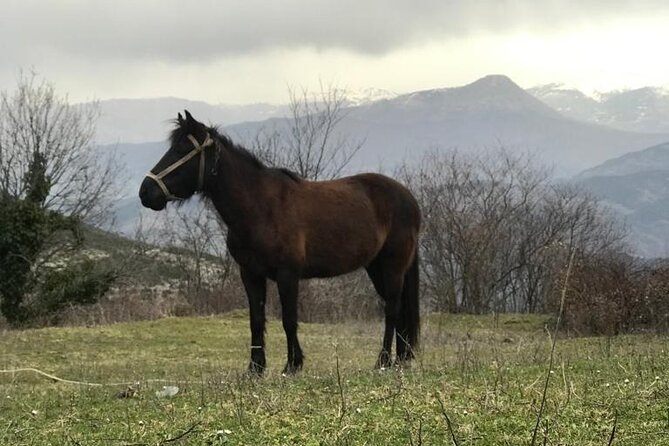 Albanias Natural Wonders: Sotira Waterfall & Dardha Lakes by 4x4 - Mount Tomorr and Scenic Off-Roading