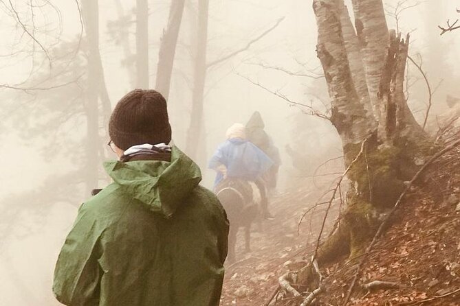 Albanias Natural Wonders: Sotira Waterfall & Dardha Lakes by 4x4 - The Cultural and Natural Significance of Mount Tomorr