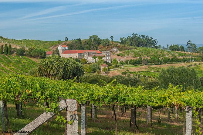 Albariño Private Wine Tour From Santiago De Compostela - Customer Feedback and Recommendations