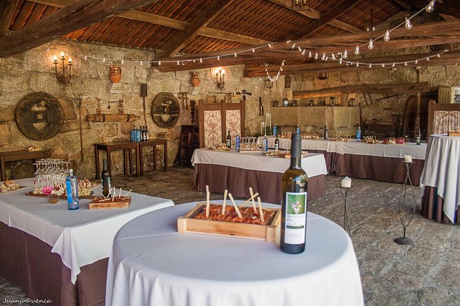 Albariño trails Private Wine Tour/Shore excursion from Vigo - An In-Depth Look at the Albariño Trails Private Wine Tour