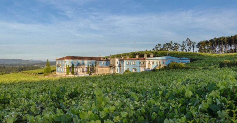 Albariño Wine Tasting with Winery Tour - Discovering Albariño: A Guided Winery Tour in Galicia
