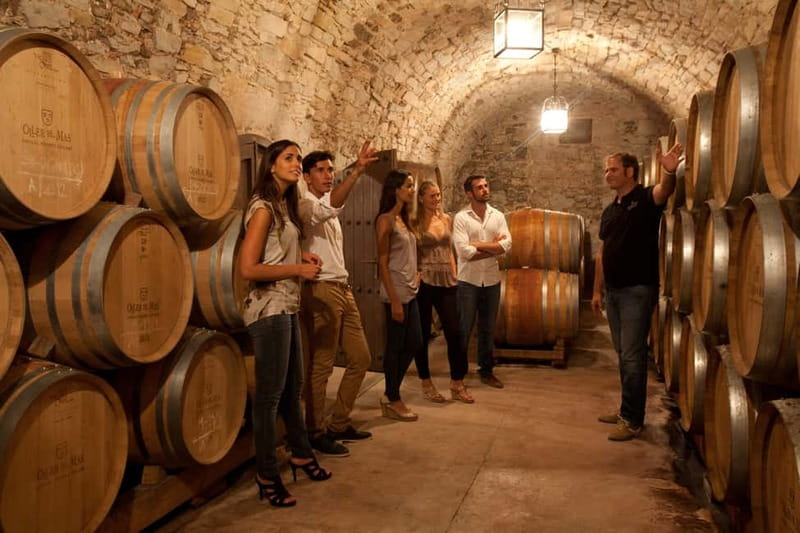 Albariño Wine Tour: Taste, Learn & Take Home a Special Gift - Key Points