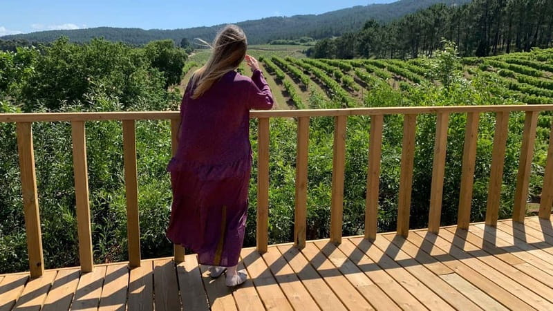 Albariño Wine Tour: Taste, Learn & Take Home a Special Gift - What Travelers Are Saying