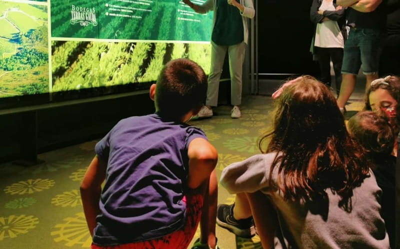 Albariño Wine Tour: Taste, Learn & Take Home a Special Gift - Who Will Love This Tour?