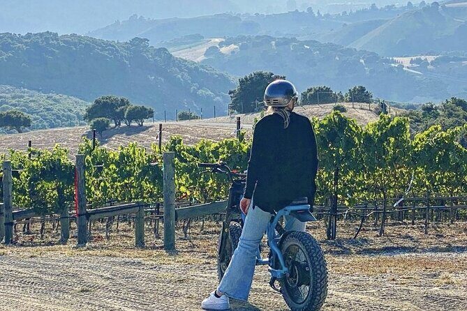 Albatross Ridge Vineyards Electric Bike Tour & Wine Tasting - An In-Depth Look at the Albatross Ridge Vineyard & Tour