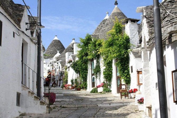 Alberobello and Polignano private walking tour - FAQ