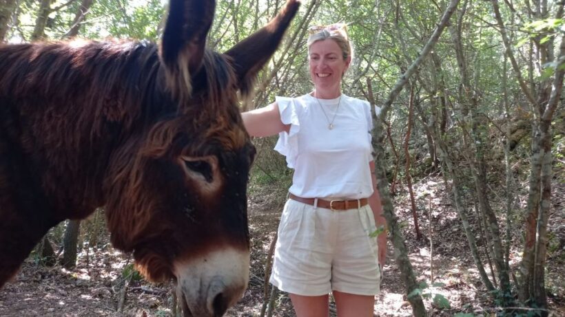 Alberobello e-bike tour with visit to a donkey farm - Key Points