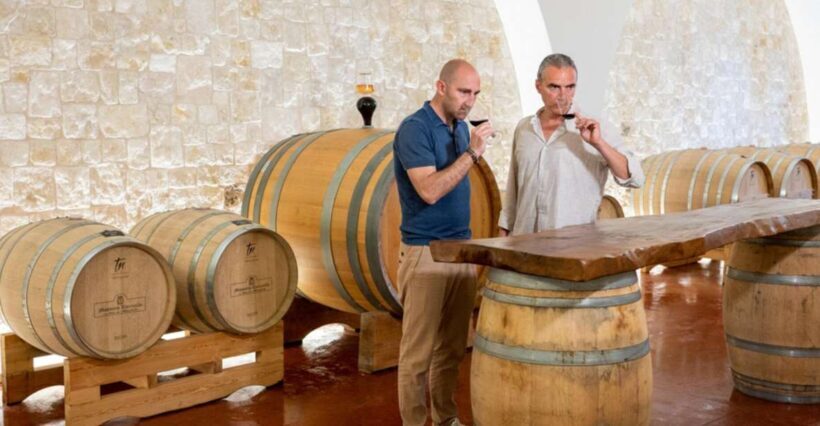 Alberobello: Winery Tour with Wine and Food Tasting - Key Points