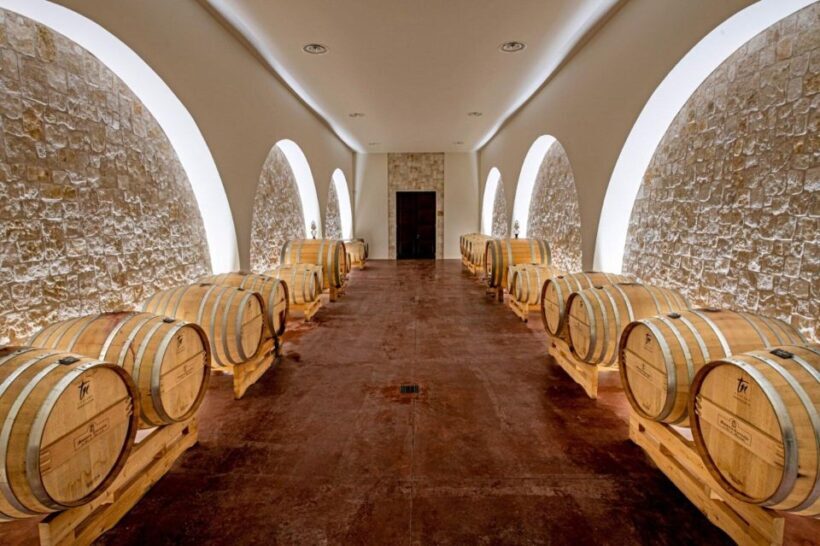 Alberobello: Winery Tour with Wine and Food Tasting - Final Thoughts