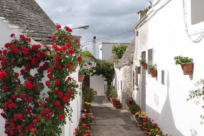 Alberobello with a local tour guide!(shared tour max.15 pax) - Practicalities: Timing, Price, and Accessibility