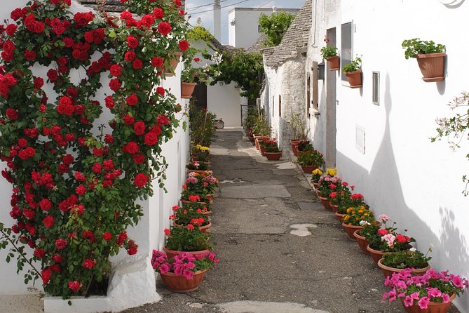 Alberobello&Ostuni&Polignano a Mare - The Itinerary in Detail
