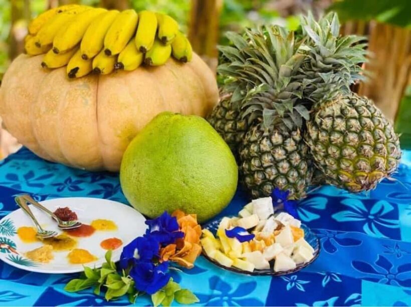 Albert Tours Excursion Safari - Moorea Safari tours&pick up - The Itinerary: What to Expect on Your Moorea Safari