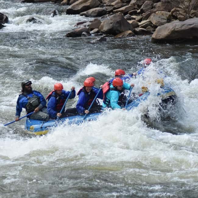 Albright: Cheat Narrows Rafting Trip - Why Choose This Experience?
