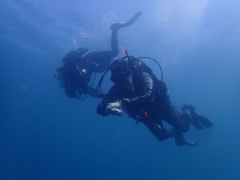 Albufeira: 2 DIVES TRIP (ONLY CERTIFIED DIVERS) - Introduction