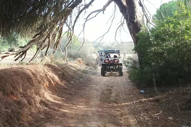 Albufeira 2 Hour Off-Road Tour Buggy Adventure Tour - The Sum Up