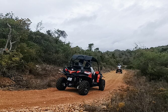 Albufeira 3.5 Hour Off-Road Tour Buggy Adventure Tour - Frequently Asked Questions