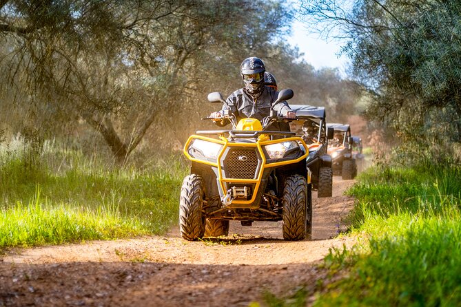 Albufeira 3-Hour Off-Road Quad Tour - Reviews and Traveler Feedback