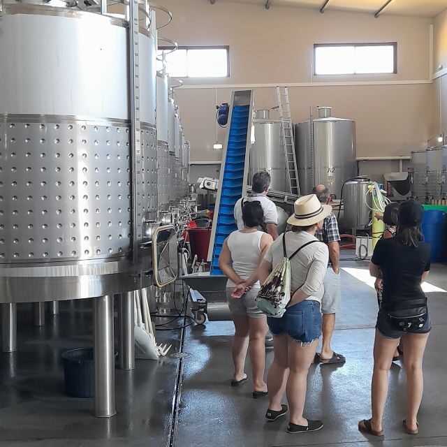 Albufeira: Algarve Coast Guided Tour with Wine Tasting - Practical Details and Value