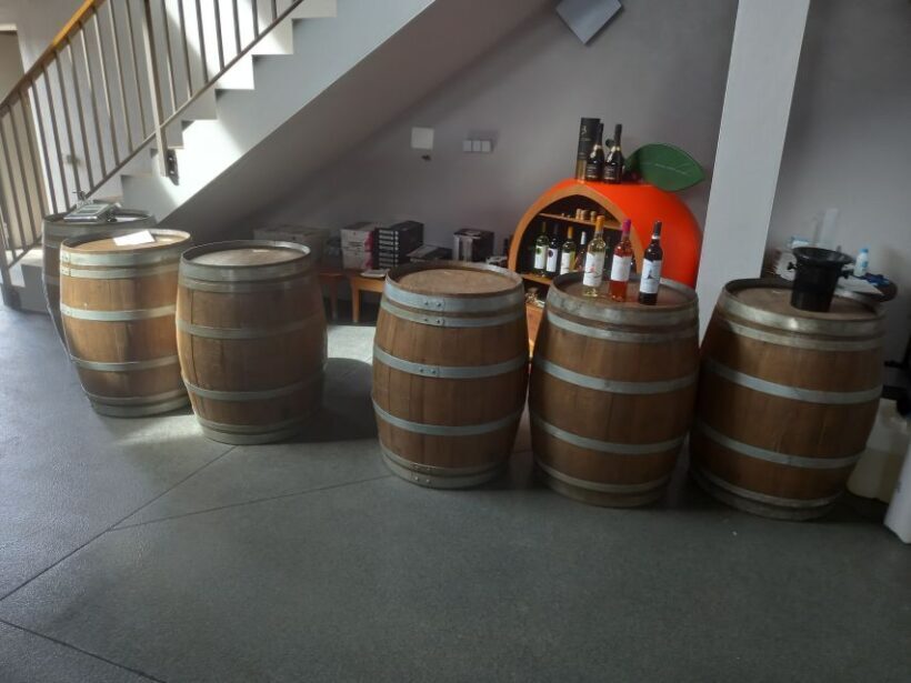 Albufeira: Algarve Coast Guided Tour with Wine Tasting - What to Expect: From Beaches to Vineyards