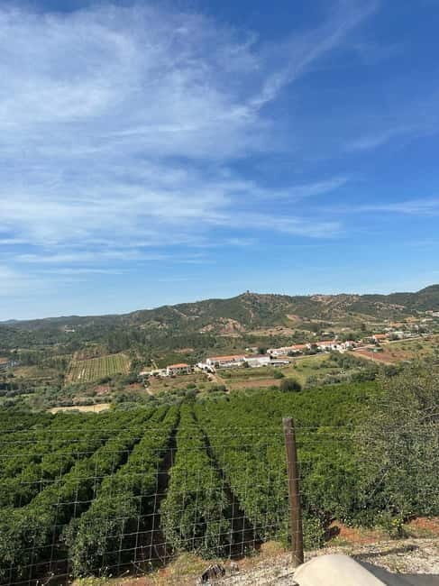 Albufeira: Alte, Paderne, and Messines Jeep Safari Tour - Tasting Local Flavors: Firewater and Honey