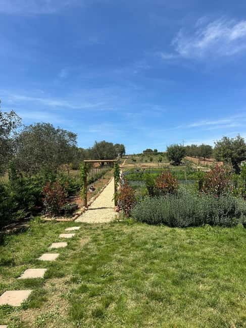 Albufeira: Alte, Paderne, and Messines Jeep Safari Tour - The Sum Up