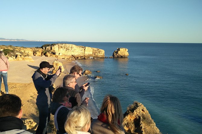 Albufeira: City Highlights & WINE TASTING - Health and Safety Considerations