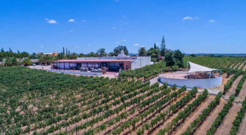 Albufeira Coast Tour, Winery & Chicken lunch - Who Should Book This Tour?