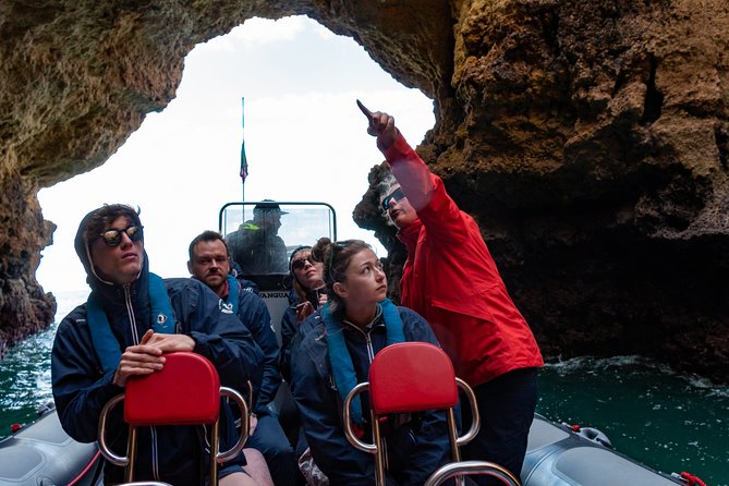 Albufeira: Dolphins and Caves Private Tour - Itinerary Highlights