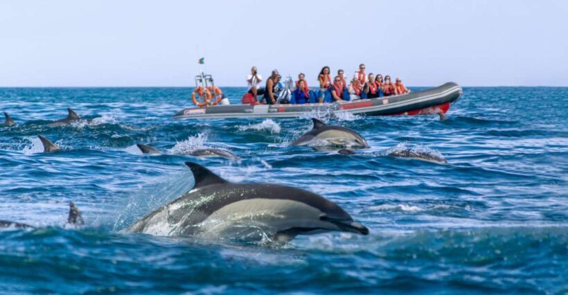 Albufeira: Dolphins, Benagil Caves and Coastline Boat Tour - FAQs
