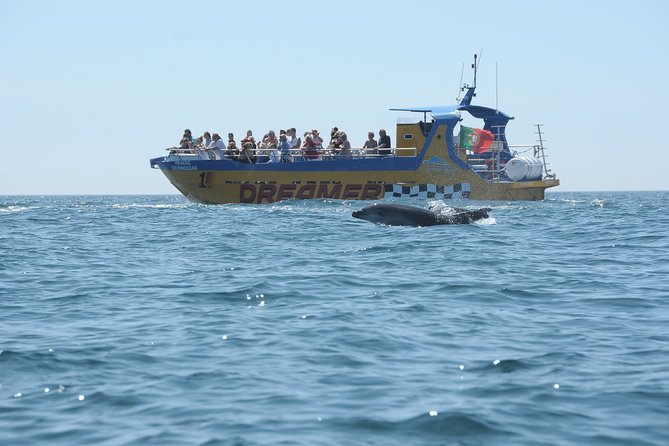 Albufeira Dreamer Boat Trip - Pricing and Value