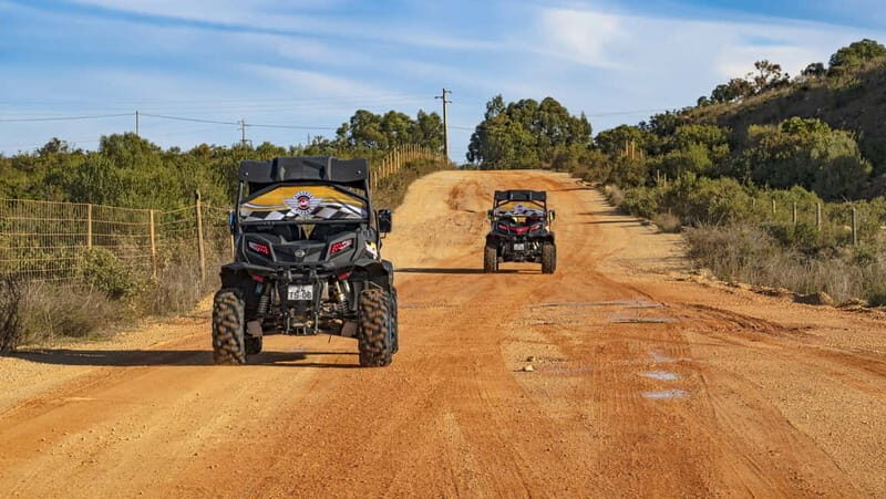 Albufeira: Full Day Off-Road Buggy Tour with Lunch & Guide - Wrapping It Up: Who Will Love This Experience?