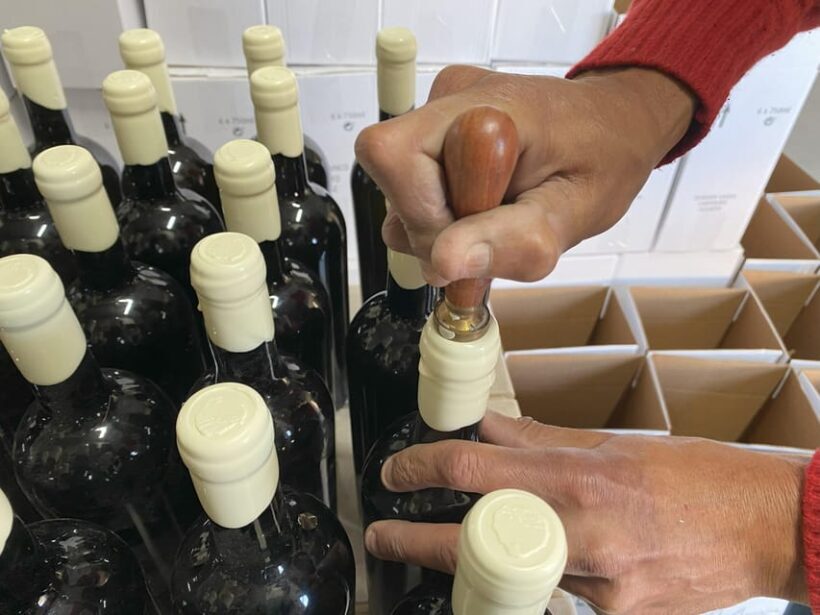 Albufeira/Porches/Vilamoura: Wine Tasting with Tapas & Music - Frequently Asked Questions