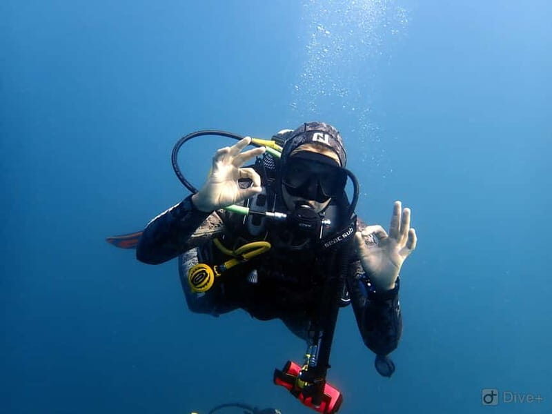 Albufeira: Scuba Diving Experience for Beginners - Group Size and Language Support