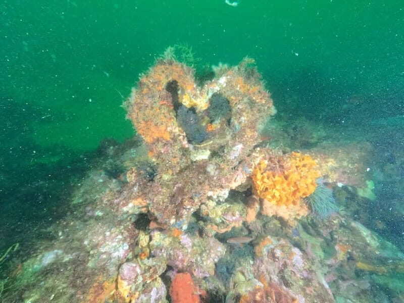 Albufeira: Scuba Diving Experience for Beginners - Practical Considerations