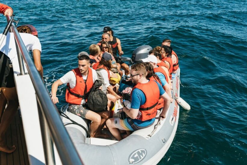 Albufeira: Sightseeing Cruise with Beach BBQ and Open Bar - Key Points